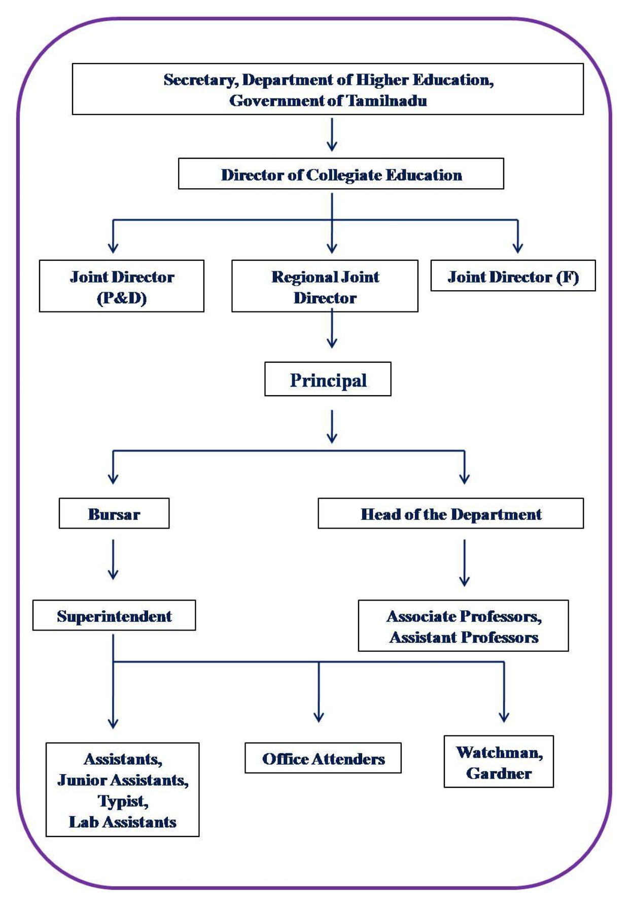 ORGANOGRAM – lngovernmentcollege